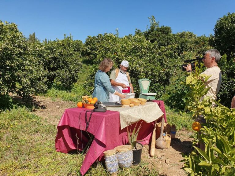 Visita a finca de cítricos con degustación en Pizarra - Triángulo ...